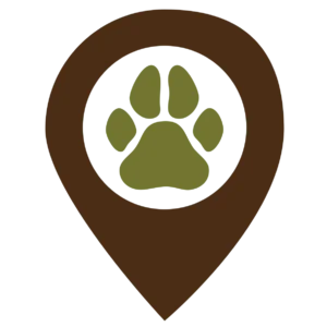 Vikings in Jorvik - DIG